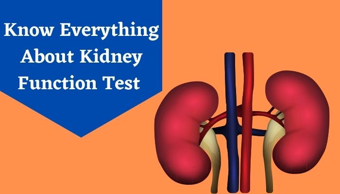 Kidney Function Test Types Procedure Results Of Kidney Profile Test 